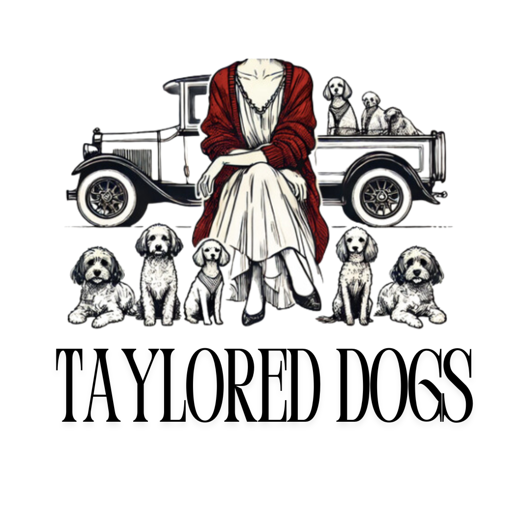 Cavapoos Hypoallergenic? The Facts Revealed - Taylored Dogs